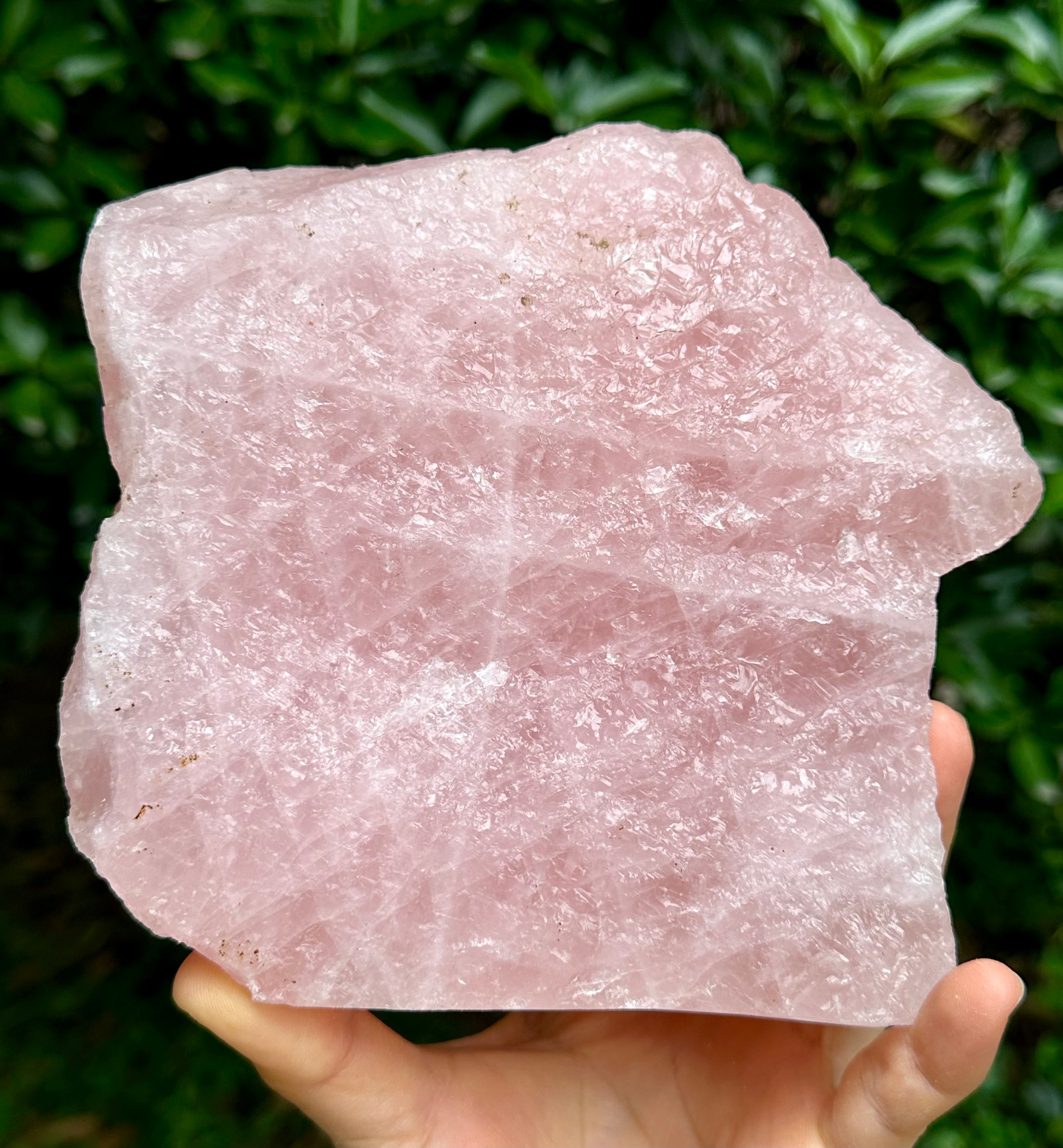 Pink – WOWQUARTZ
